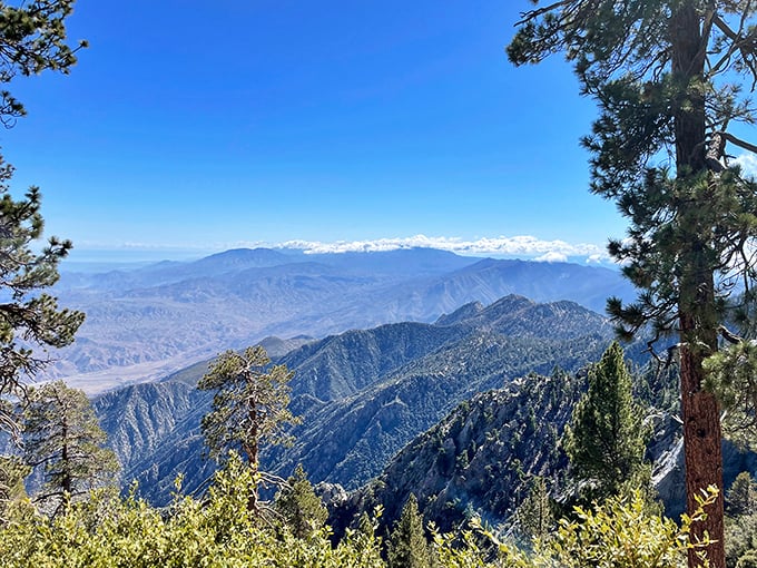 Layer upon layer of mountain ridges stretch to the horizon, creating nature's own version of a breathtaking infinity pool. The desert below seems like another world entirely.