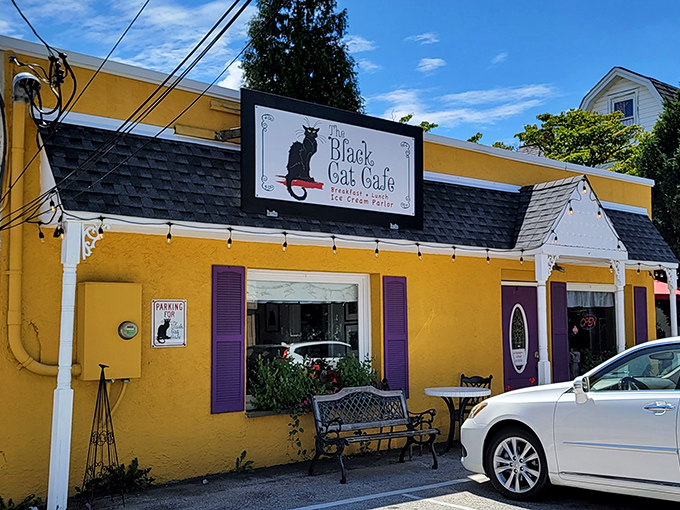 The sunshine-yellow exterior of The Black Cat Cafe isn't just eye-catching—it's practically shouting "breakfast paradise inside!" Those purple shutters add the perfect whimsical touch.