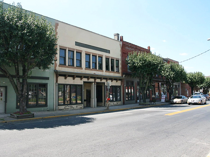 Downtown Snow Hill looks like a movie set with that vintage Wrigley's ad painted on the brick—small-town Americana preserved in its most charming form.