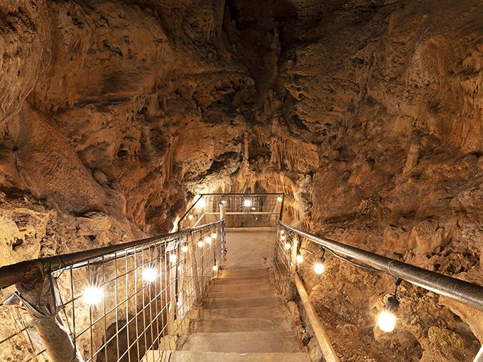 The stairway to another world begins here. These 126 steps lead you into a limestone wonderland that's been quietly crafting masterpieces for millions of years.