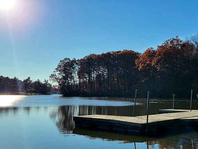 Morning sunlight dances across Harrison Lake's glassy surface, where a simple wooden dock invites you to sit and contemplate life's big questions—or just watch for fish.