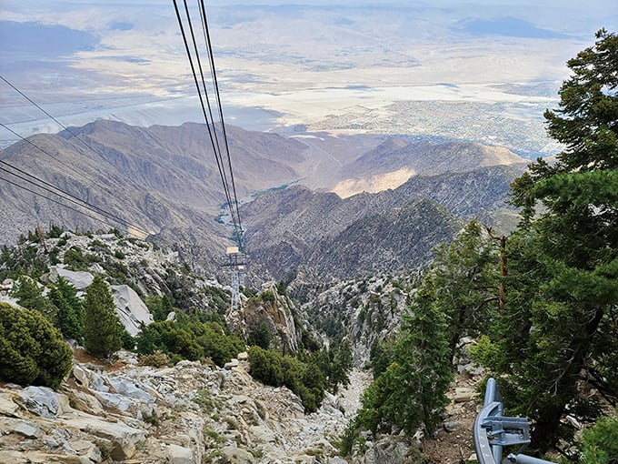 The Palm Springs Aerial Tramway delivers you to another world. From desert heat to alpine wilderness in just ten minutes—nature's ultimate elevator ride.