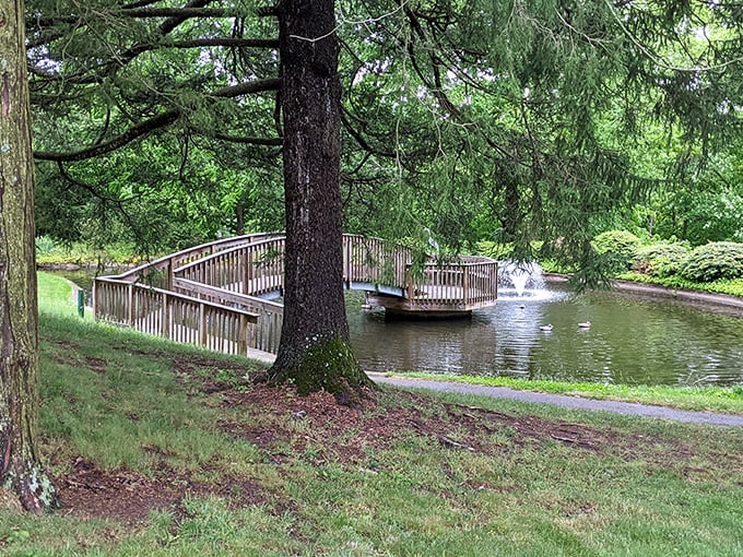 Those wooden bridges aren't just functional – they're practically begging you to play Pooh Sticks like you're twelve again.