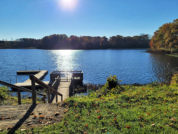 Sunshine dancing on water, a wooden dock inviting adventure – this isn't a postcard, it's Tuesday at Punderson Lake.