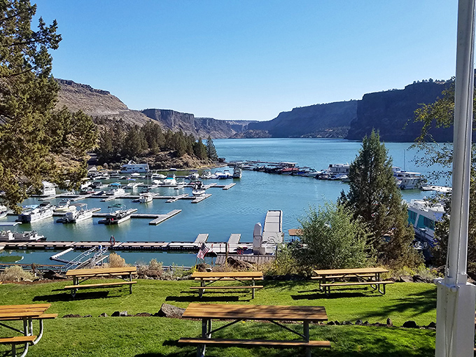 Marina life at its finest - where boats gather like old friends at a neighborhood barbecue, with canyon walls providing the ultimate backdrop.