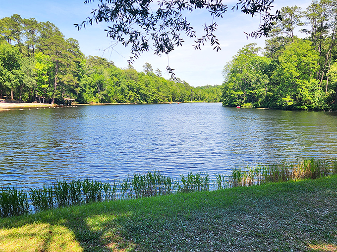 Lake Tilley glistens like nature's mirror, reflecting towering pines and Carolina blue skies. The perfect antidote to doomscrolling on your phone.
