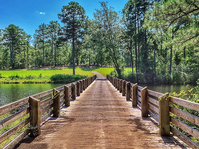 This wooden bridge isn't just a path across water—it's an invitation to adventure. Nature's red carpet moment, minus the paparazzi.