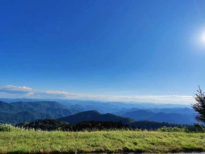 From Cowee Mountain Overlook, the view rolls out in endless blue layers beneath a flawless Carolina sky.