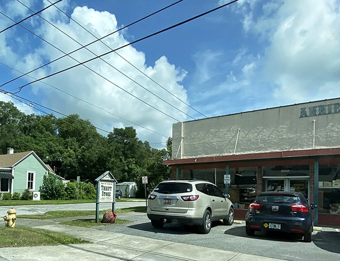 Behind its modest façade lies a world of surprises—like a page-turner thrift novel, This & That keeps its best twists for curious shoppers.