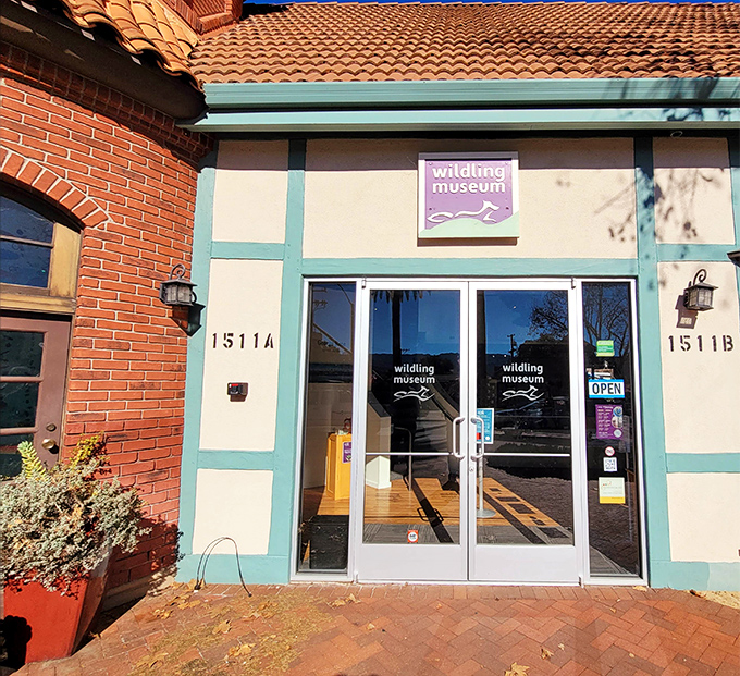 Step through these doors and trade tourist trinkets for artistic treasures – the museum's entrance promises a refreshing cultural palate cleanser.