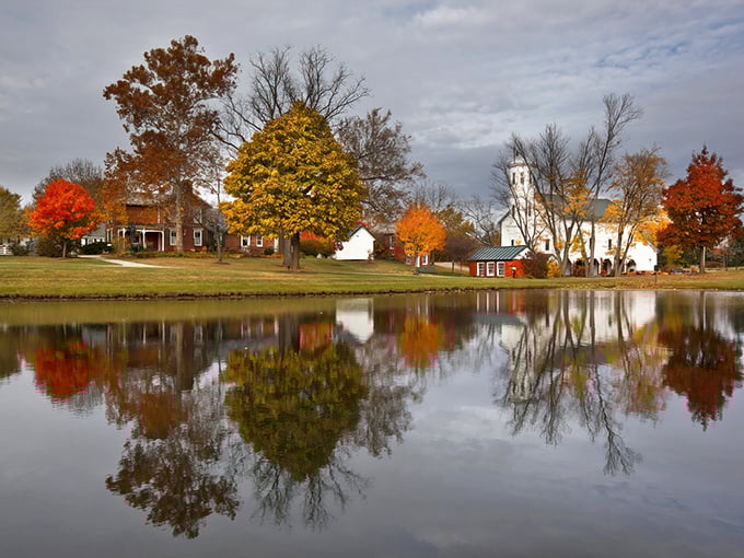 Autumn in Gambier isn't just a season—it's a masterpiece. Those reflections in the water create nature's perfect mirror, doubling the visual feast for lucky visitors.