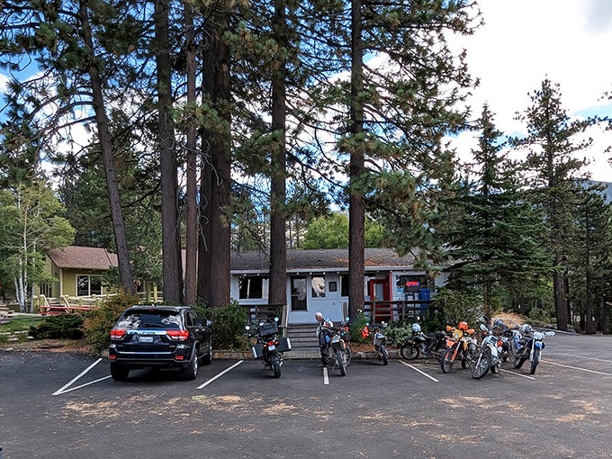 Nestled among towering pines, Red Hut Café's unassuming exterior belies the culinary treasures within. Motorcyclists already know the secret.
