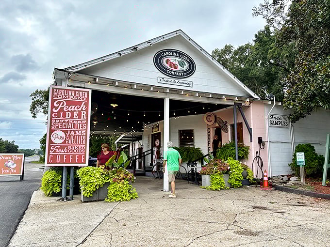 The charming white facade of Carolina Cider Company beckons road-weary travelers like a Southern mirage, complete with rocking chairs and the promise of "Free Samples."
