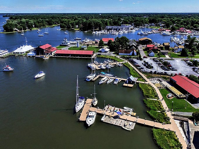 Another aerial view showcasing why boaters call this "Harbor of Harbors"—where every vessel seems to find its perfect resting spot.