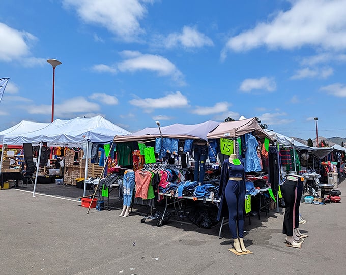 A colorful array of clothing beckons under blue skies – California's version of a department store, minus the muzak.