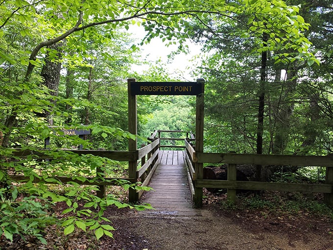 Prospect Point beckons adventure seekers through a wooden gateway, promising views that'll make your Instagram followers green with envy.