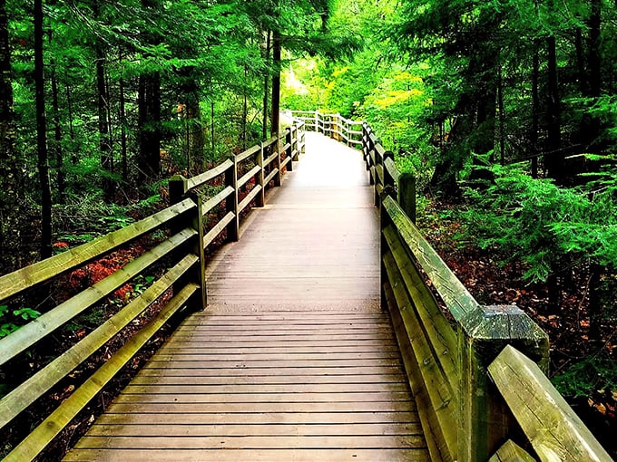 Nature's welcome mat unfurls along this wooden boardwalk, inviting you into a cathedral of green where sunlight plays hide-and-seek through the canopy.