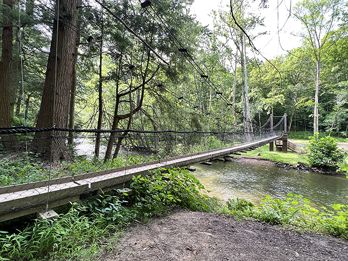 This suspension bridge isn't just a crossing—it's an invitation to adventure, swaying gently as you venture deeper into Mohican's emerald heart.