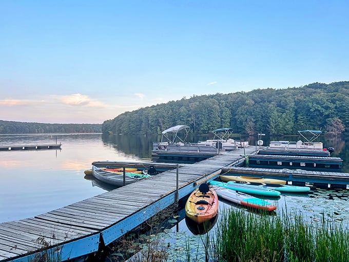 Glendale Lake stretches like a blue ribbon through the forest, where boats dot the water and Pennsylvania's natural splendor unfolds in every direction.
