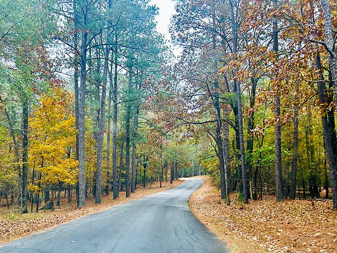 Fall arrives at Baker Creek like nature's own fireworks display, minus the noise complaints.