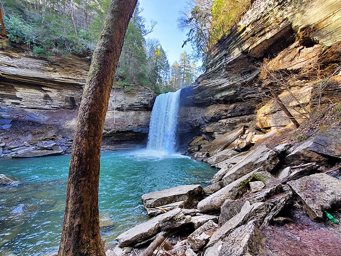Nature's perfect plunge pool awaits at Savage Gulf. This waterfall doesn't just cascade—it performs, creating an emerald swimming hole worthy of a travel magazine cover.