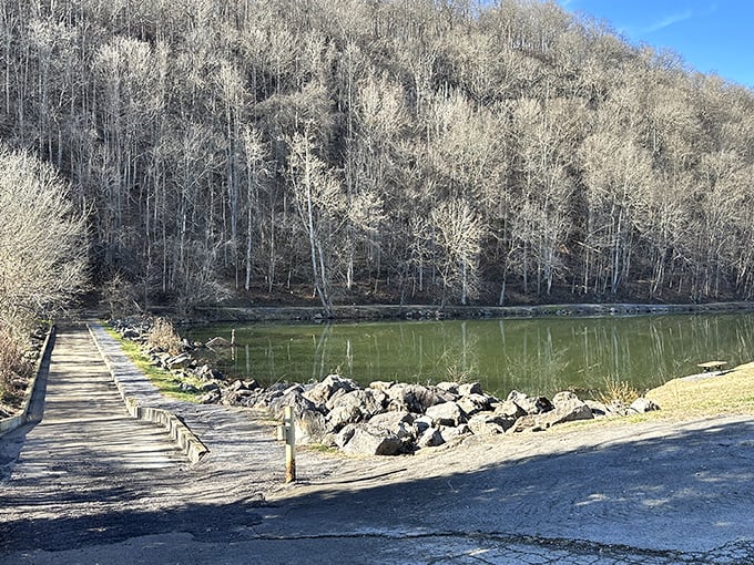 Winter's touch transforms the riverbank into a scene straight out of a black-and-white film—except for that emerald water stealing the show.