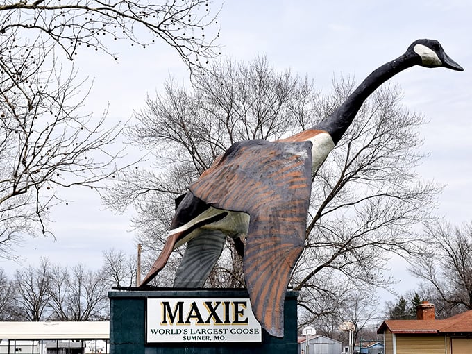 Maxie stands tall against the winter sky, her 40-foot frame a testament to small-town America's delightful commitment to the wonderfully absurd.