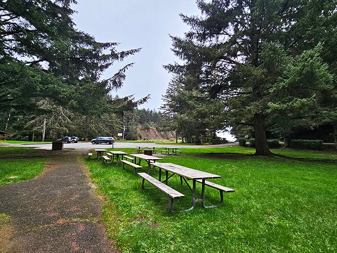 Picnic tables waiting patiently under towering evergreens – nature's dining room where the only reservation needed is your sense of adventure.