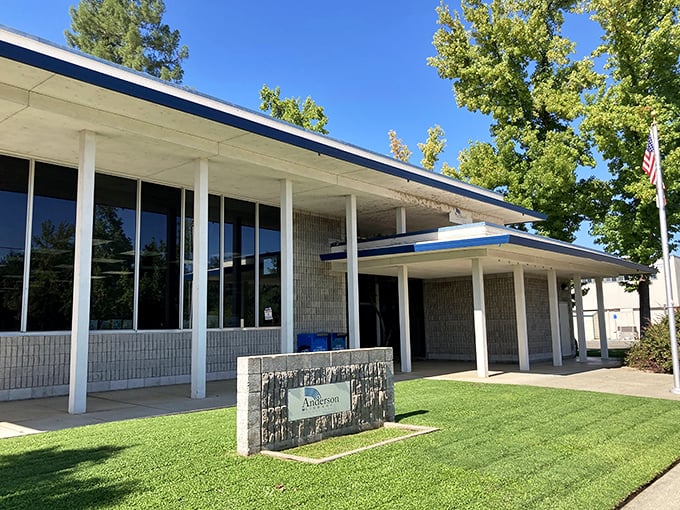 Anderson's public library offers adventures that don't require subscriptions, data plans, or software updates – just a curious mind.