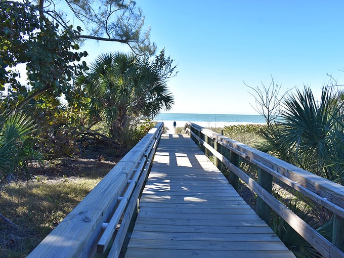 Beach boardwalks in Anna Maria aren't just paths to the shore – they're runways for your grand entrance to paradise.