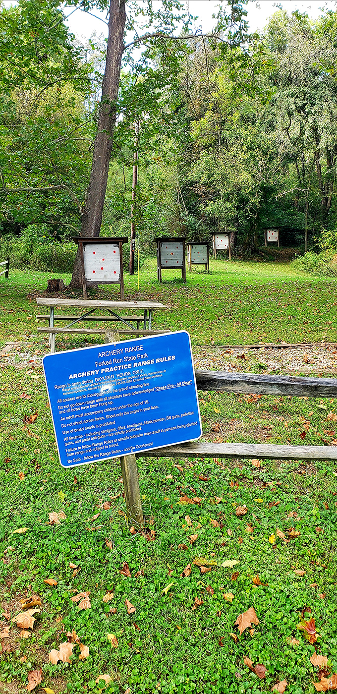 Channel your inner Robin Hood – though hitting the target is harder than it looks in the movies.