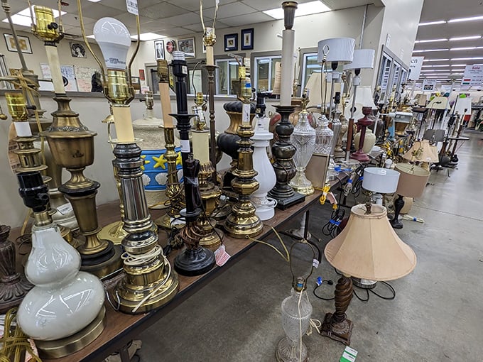 Lamp central – where lighting fixtures from elegant to eccentric stand at attention, ready to brighten corners and reading nooks alike.