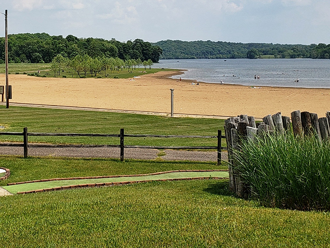 The beach at Salt Fork offers lakeside lounging without the coastal price tag or the risk of shark-themed movie scenarios.