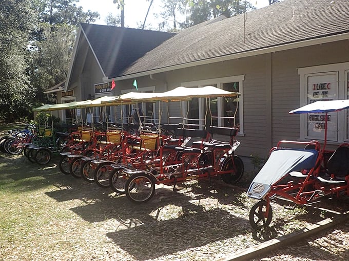 These cherry-red Surrey bikes aren't just transportation—they're time machines to simpler days when "horsepower" meant your actual legs.