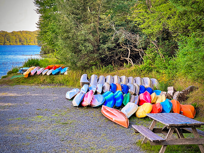 A rainbow armada of kayaks awaits your adventure. Like a candy store for outdoor enthusiasts—pick your color and paddle into serenity.