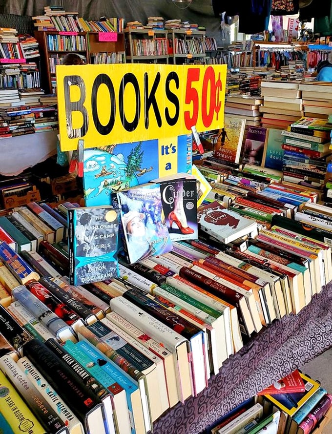 Literary paradise at pocket-change prices – where fifty cents buys you someone else's adventure, romance, or self-improvement journey.
