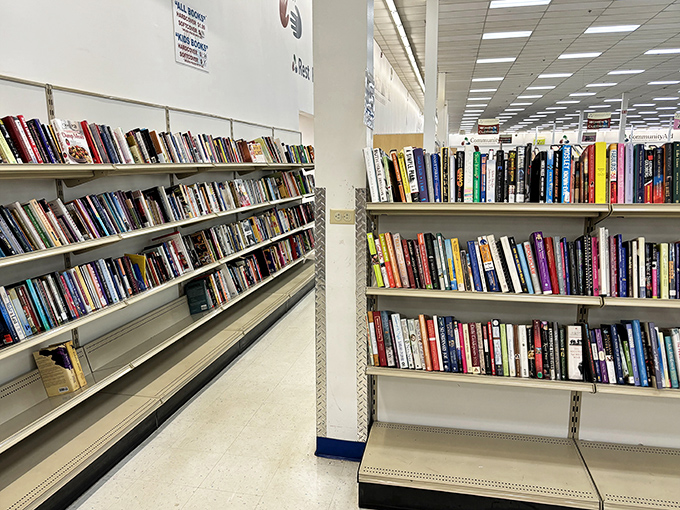 The bibliophile's playground – where dog-eared paperbacks and pristine hardcovers create the world's most affordable personal library.