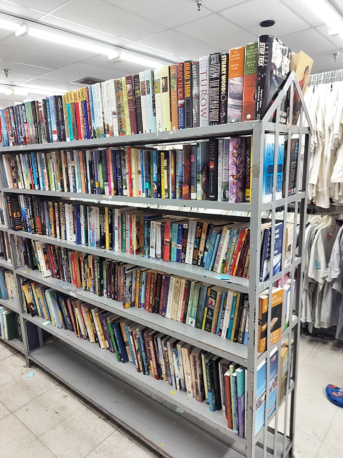 The book section—where forgotten bestsellers and out-of-print treasures create a paper time capsule of America's reading habits through the decades.