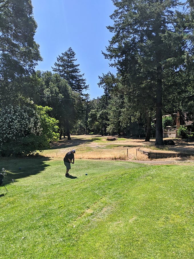Golf as it was meant to be played—unhurried, surrounded by towering trees, and without needing a second mortgage to cover the greens fees.