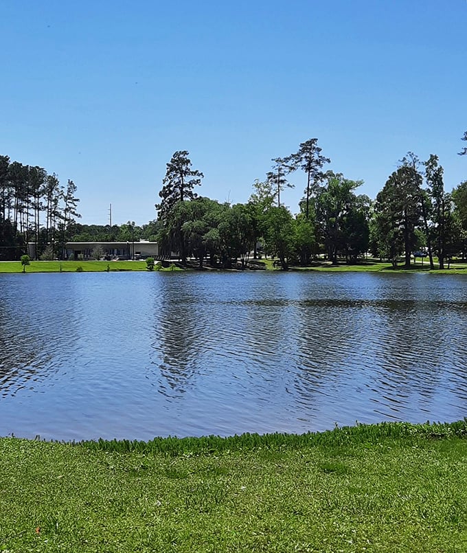 Cherokee Lake's mirror-like surface reflects Georgia's blue skies, creating a double dose of serenity in one gorgeous view.