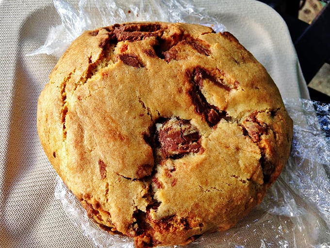 A cookie that looks like it's auditioning for a role in your childhood memories—chunky, rustic, and completely uninterested in being dainty.