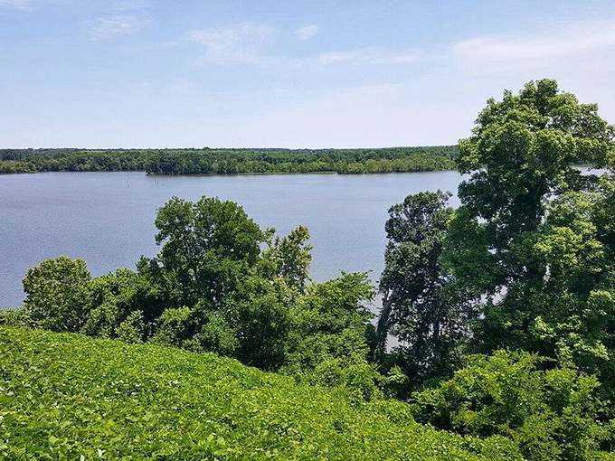 The tranquil waters surrounding Prattville create a stunning backdrop of blues and greens, where nature's palette shines in full glory.