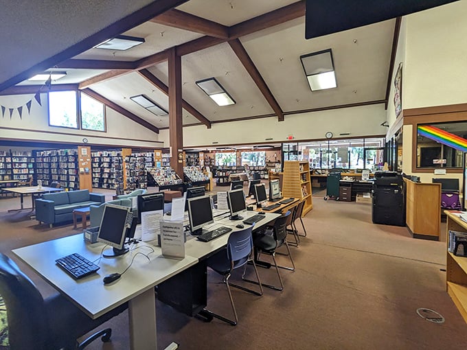 The Willits Library offers both books and computers—because sometimes you want Hemingway, sometimes you need YouTube gardening tutorials.