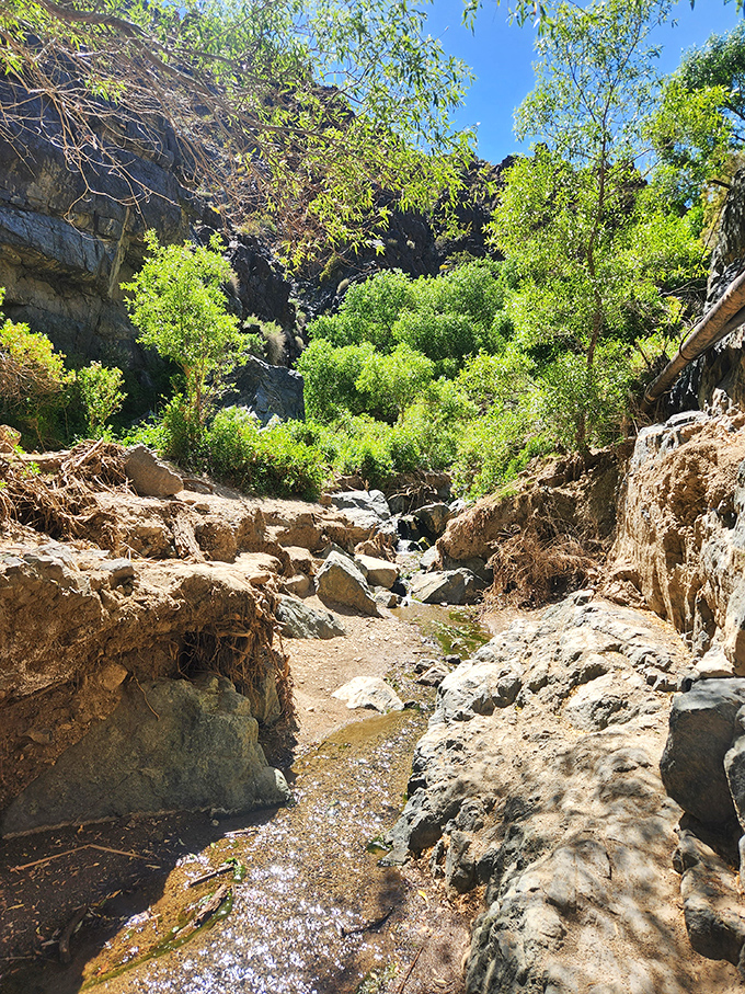 The clear plunge creek reflects the falls like nature's own Instagram filter—no technology required, just physics and perfect lighting