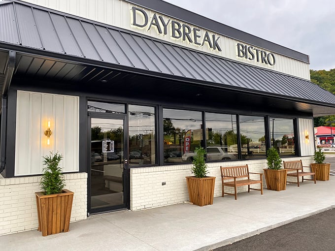 Daybreak Bistro's clean lines and wooden planters promise a meal that's both contemporary and comforting—like finding avocado toast in your grandmother's kitchen.