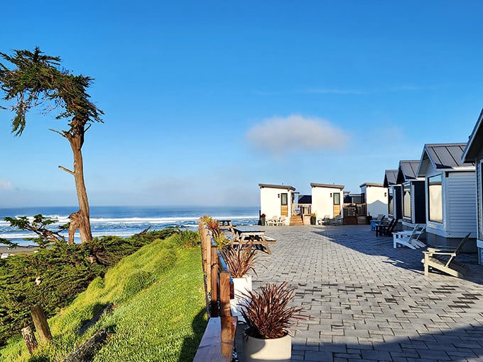 Oceanfront cottages that make you contemplate selling your house, buying a wetsuit, and permanently embracing the salt-air lifestyle.