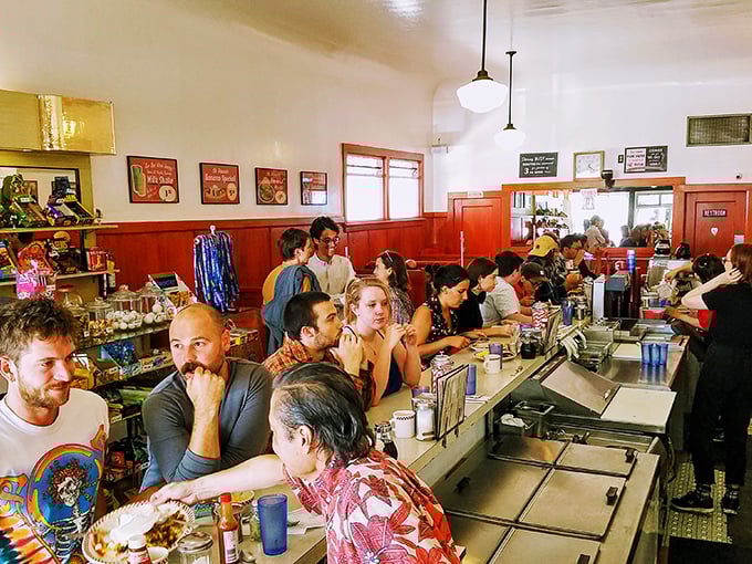 Weekend warriors line the counter, a cross-section of San Francisco waiting for their breakfast fix—some still wearing yesterday's clothes, others dressed for what comes next.