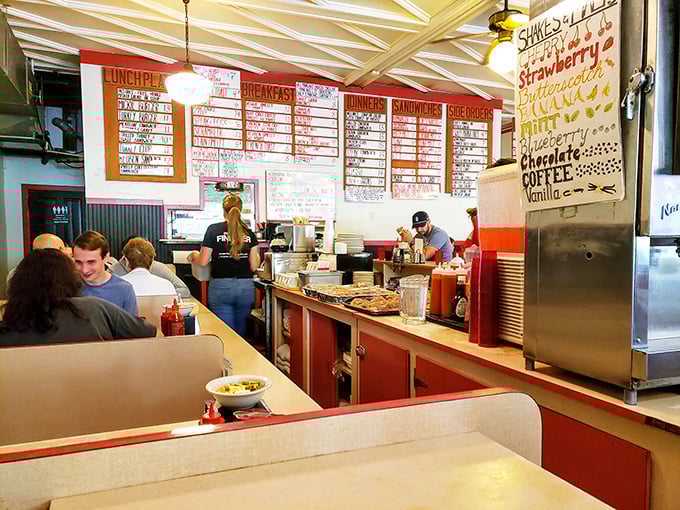 The counter service view—where regulars know exactly what they want and newcomers stand in awe of the breakfast possibilities.