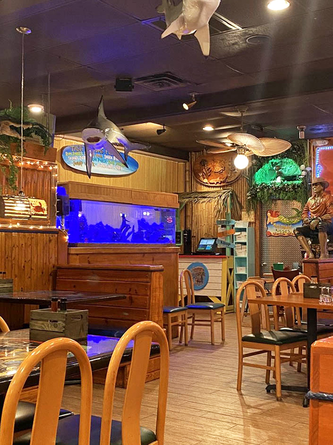 Sharks suspended from the ceiling – a dining room where the catch of the day watches you enjoy the catch of yesterday.