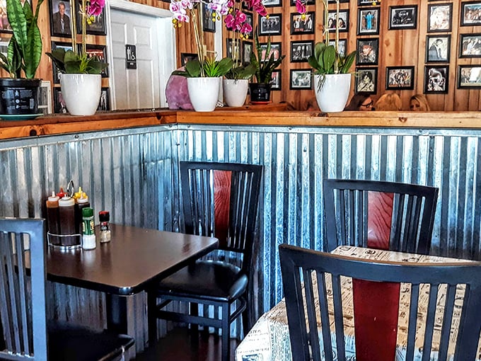 Corrugated metal meets warm wood paneling in a space that says, "Stay awhile, there's no rush—except to decide what to order next."